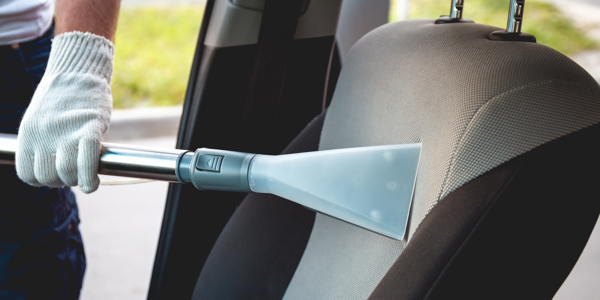 Stilvolle Hundehaare Aus Auto Entfernen Bild